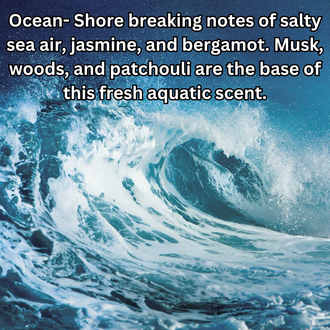 Ocean – The Smelly Cat