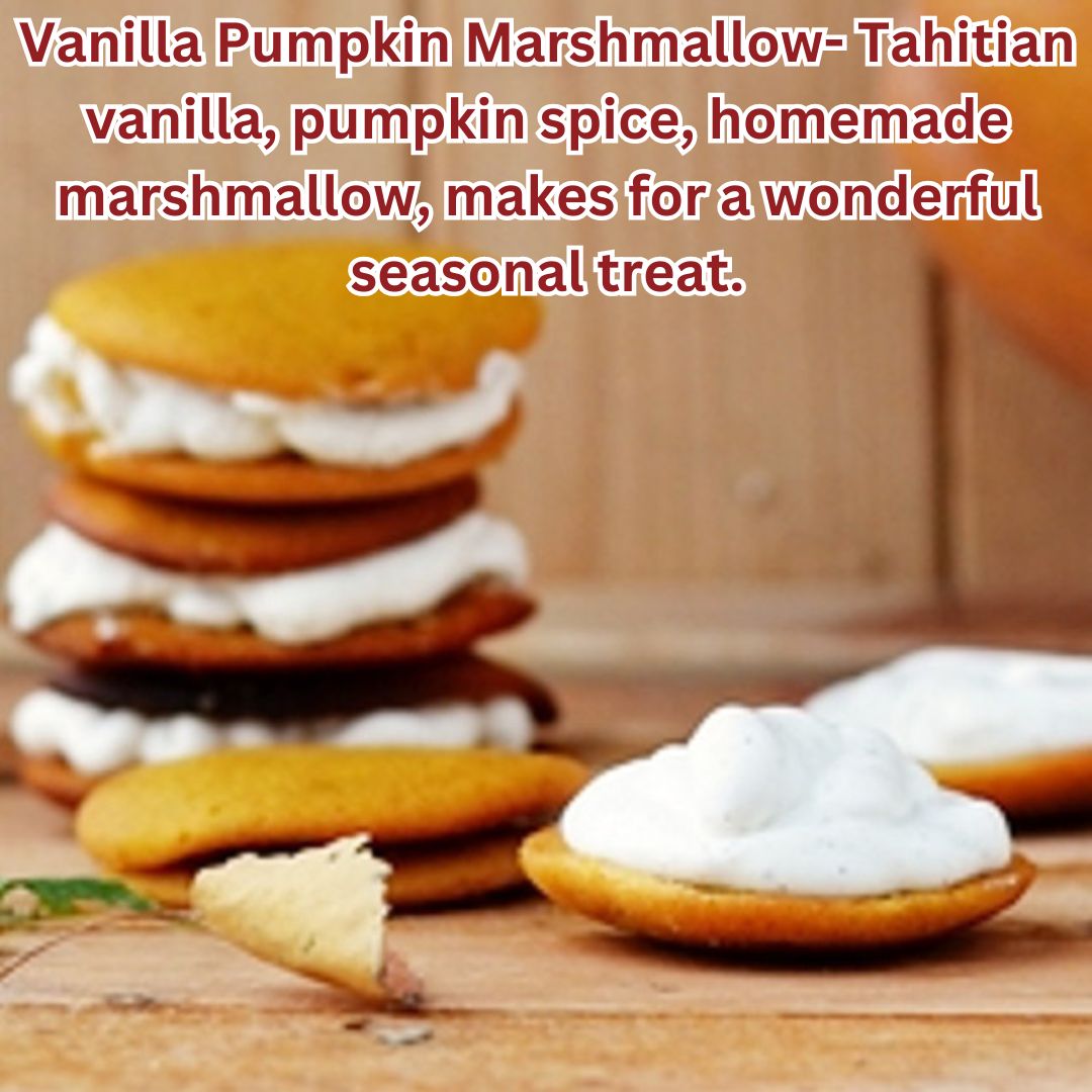 Vanilla Pumpkin Marshmallow – The Smelly Cat
