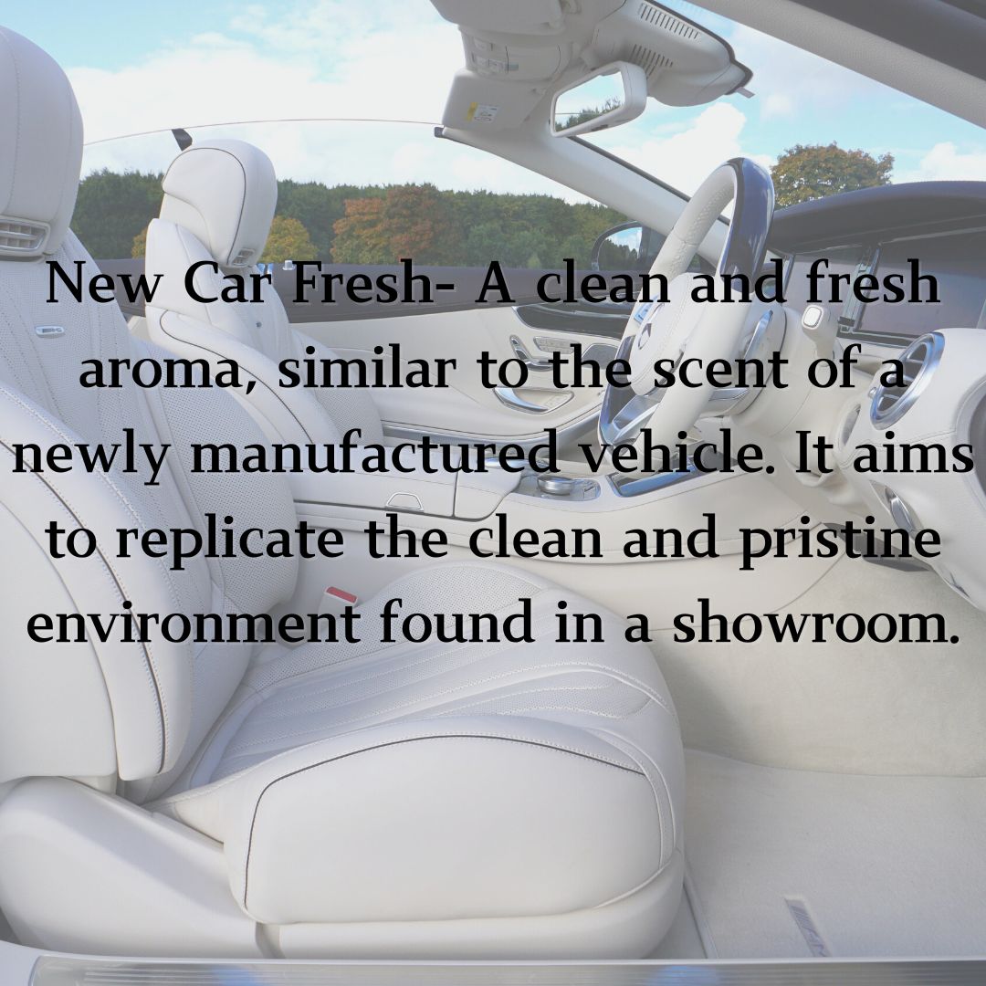 New Car Fresh – The Smelly Cat